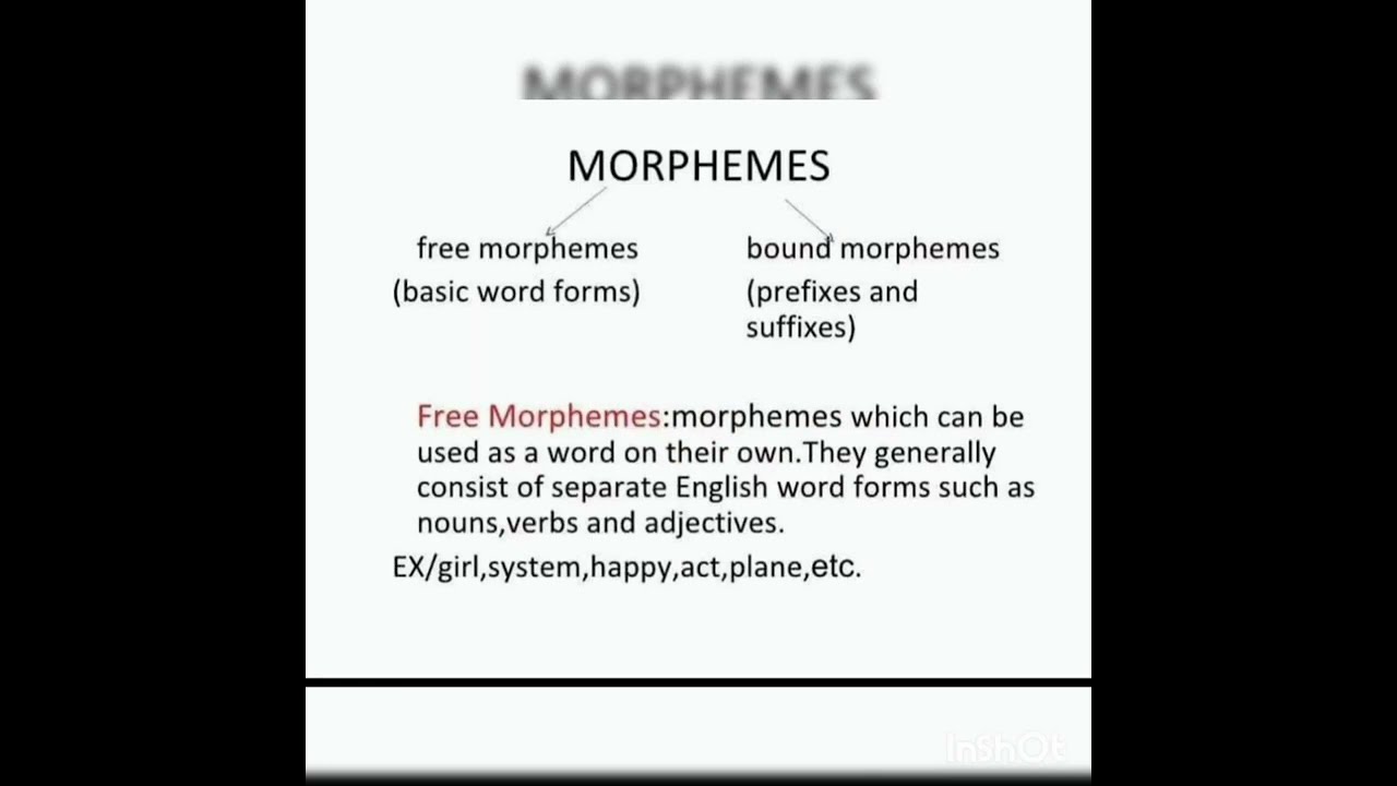 What Is Morphology YouTube What Is Morphology YouTube