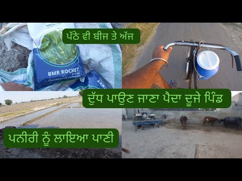 ADVANTA BMR ROCKET ਦੀ ਜਵਾਰ ਬੀਜਤੀ ਅੱਜ// ਦੁੱਧ ਪਾਉਣ ਜਾਣਾ ਪੈਦਾ ਦੂਜੇ ਪਿੰਡ # ...