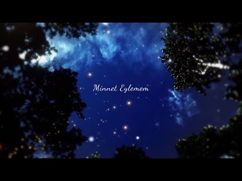 Minnet Eylemem