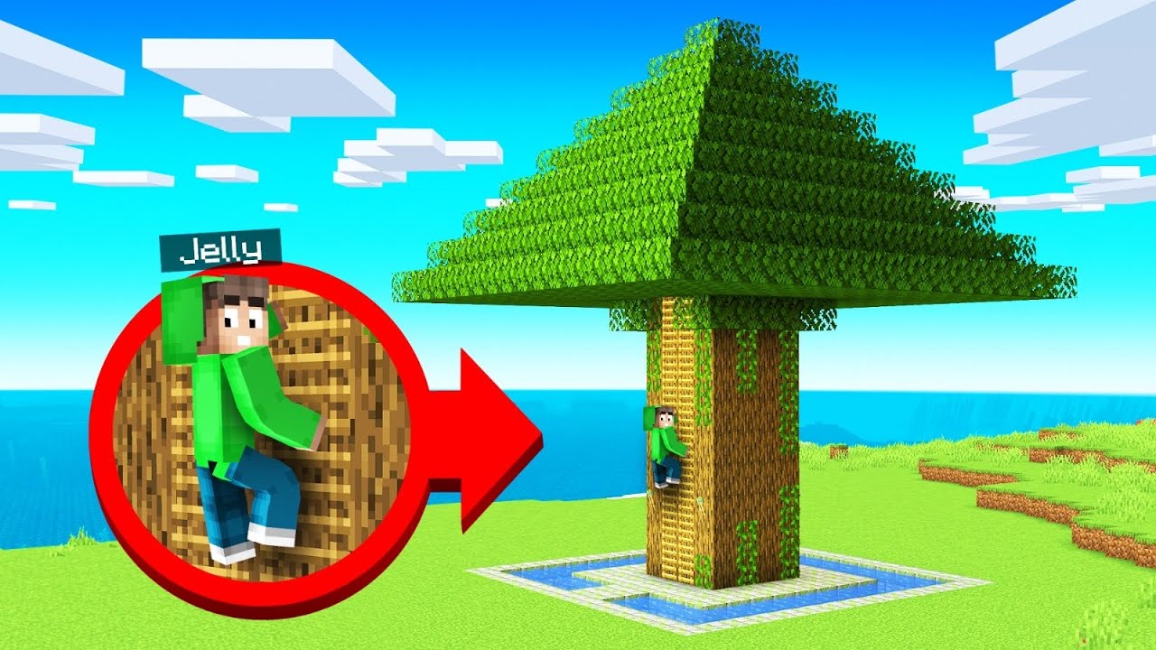 My New GIANT PYRAMID TREE HOUSE! (Minecraft Squid Island) - YouTube