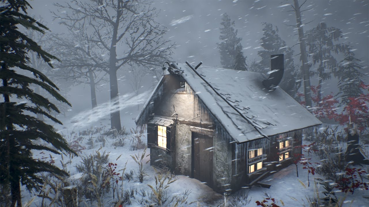 BRUTAL ALASKAN WINTER with EXTREME COLD and snowstorm for sleeping ...