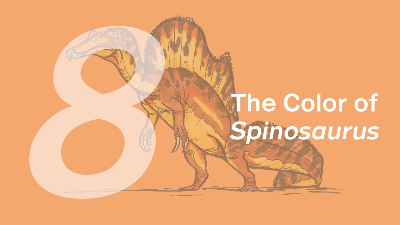 35 Essien the Spinosaurus 8: The Color | Learn to Draw Dinosaurs with ...