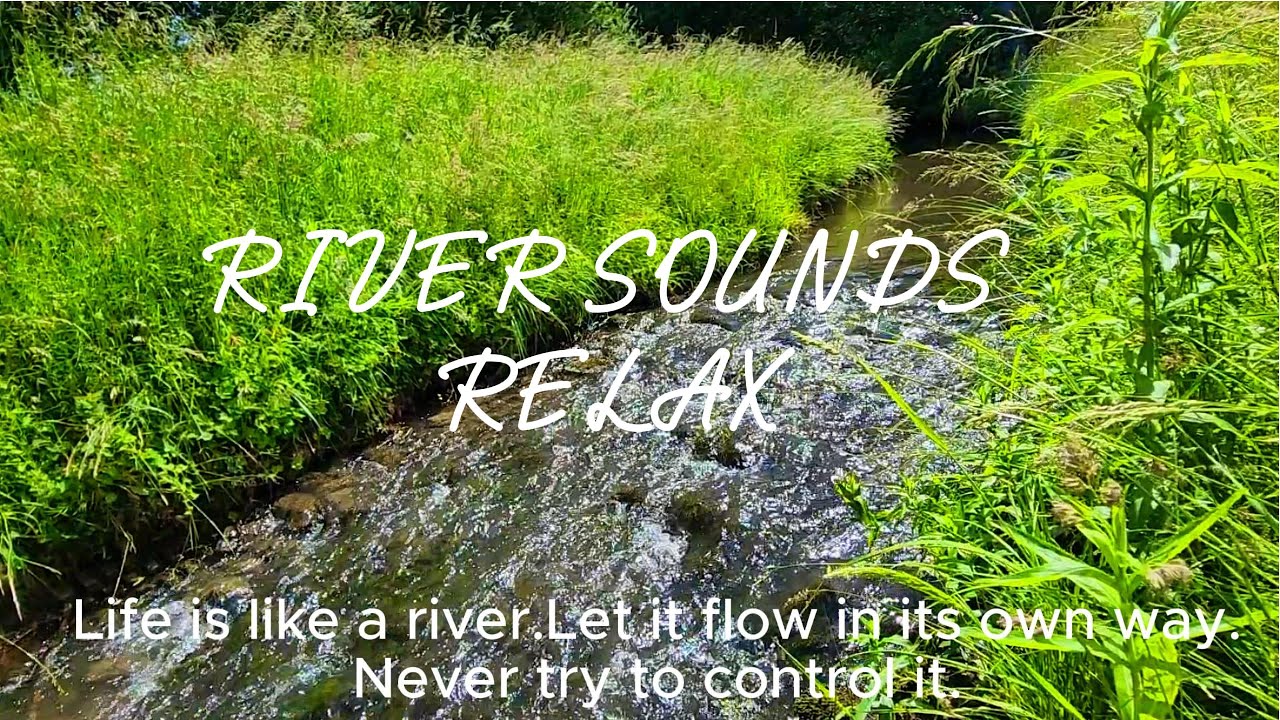 4K-🌲🏞BEAUTIFUL RIVER FLOWING SOUNDS AND BIRDS SONG,PEACEFUL SOUNDS OF ...