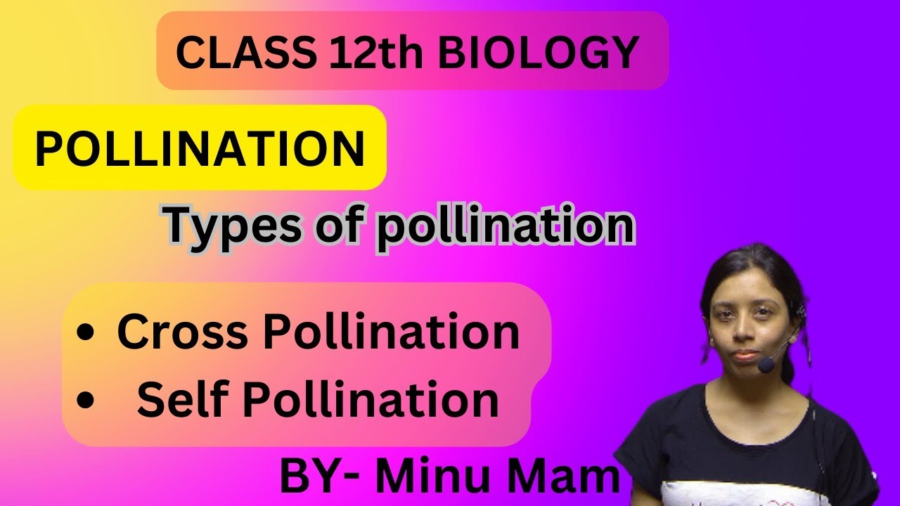 Class 12th Biology|Pollination | Cross pollination and self pollination ...