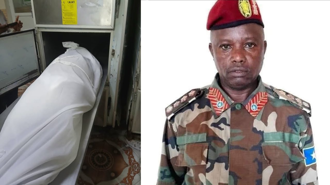 Xog Culus Maydka General sheegoow iyo Sunta la siiyay Beesha caalamka ...