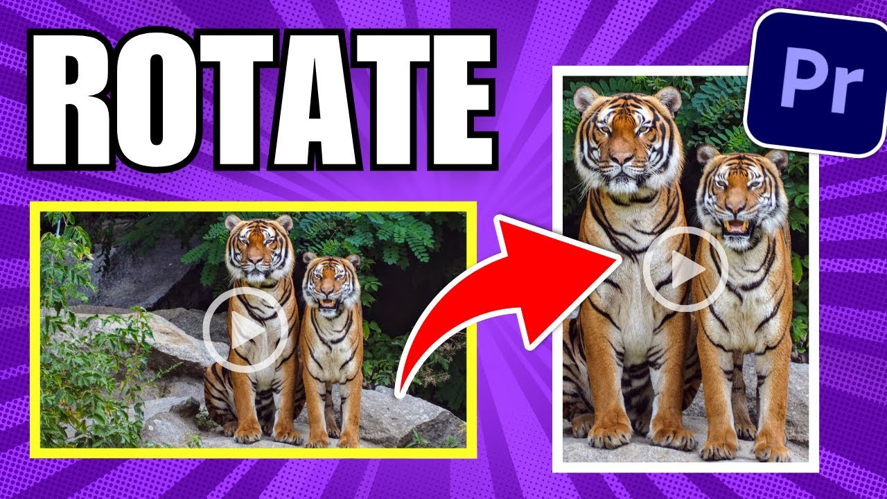How To Rotate Video To Portrait in Premiere Pro (Landscape To Portrait ...