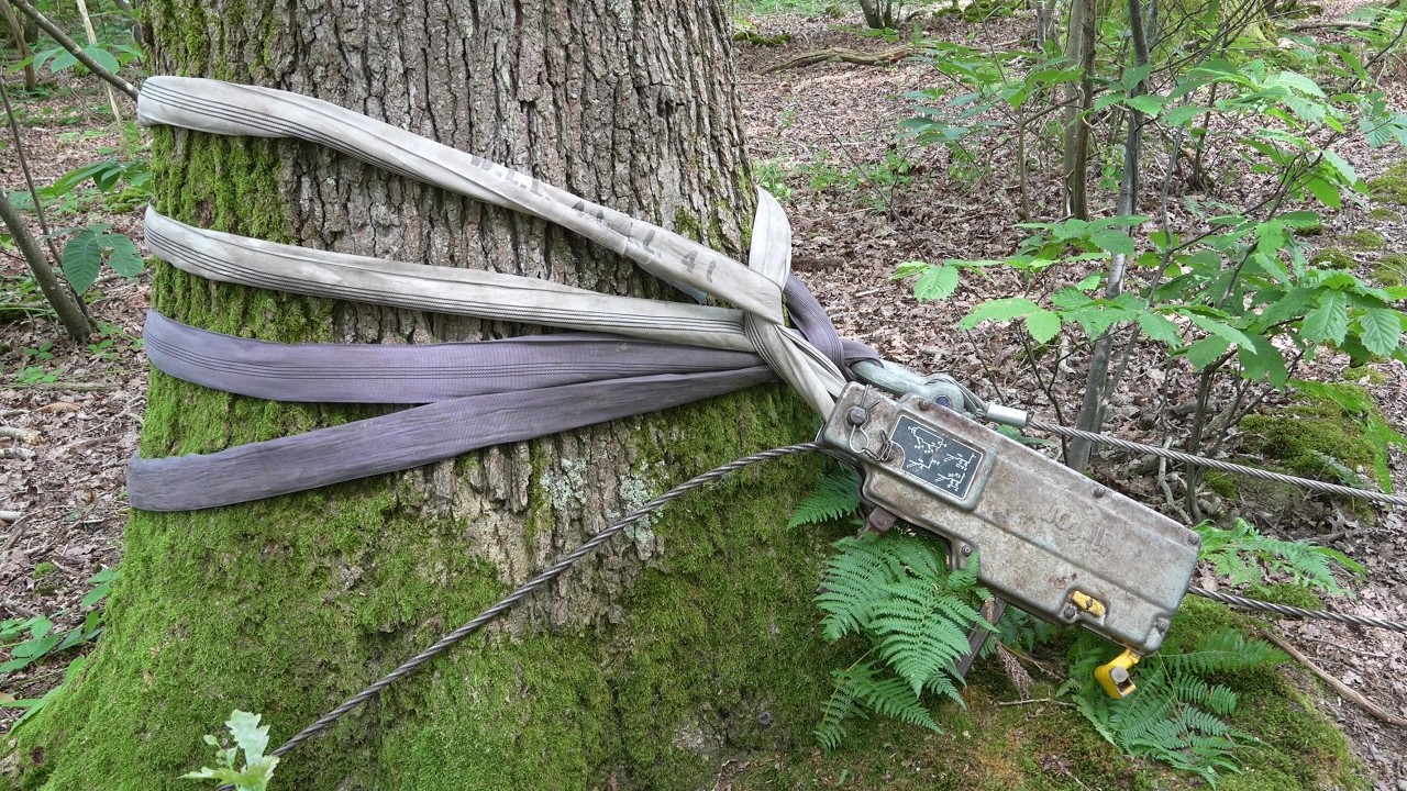 Removing a Fallen #Oak #Branch Using a #Winch - YouTube