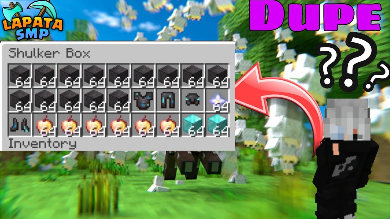 Why I dupe in this lifesteal SMP - YouTube