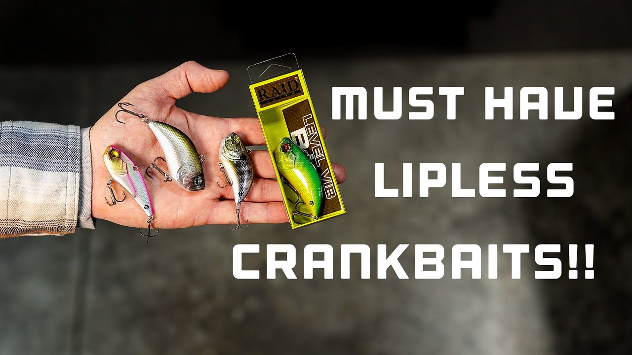 3 SNEAKY Japanese Lipless Crank Baits That Fish LOVE And Few People ...