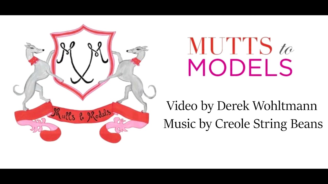 Ian Somerhalder Foundation's Mutts To Models Charity Ball 2018 - YouTube