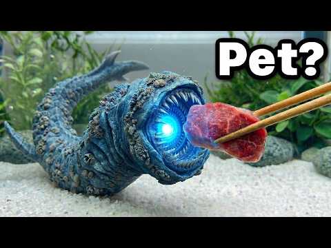 I Got Pet Sea Monsters