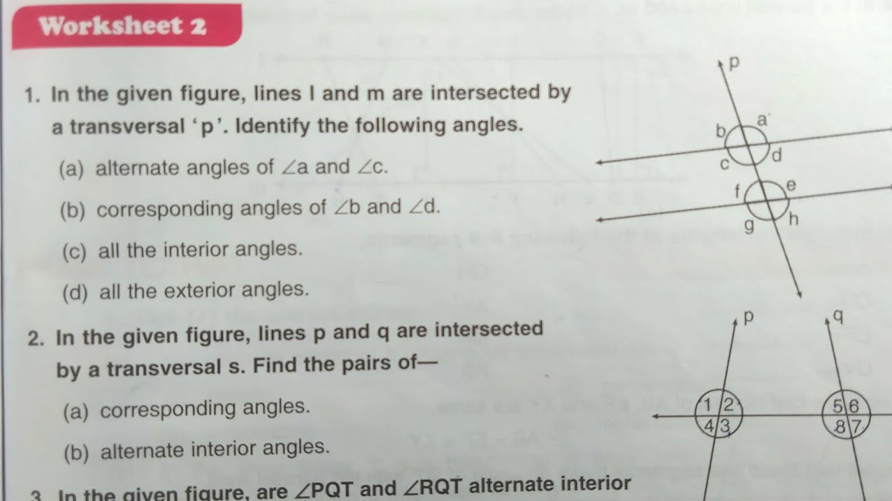 Class 6 math chapter 11 worksheet 2 dav public school ।। DAV Class 6 ...