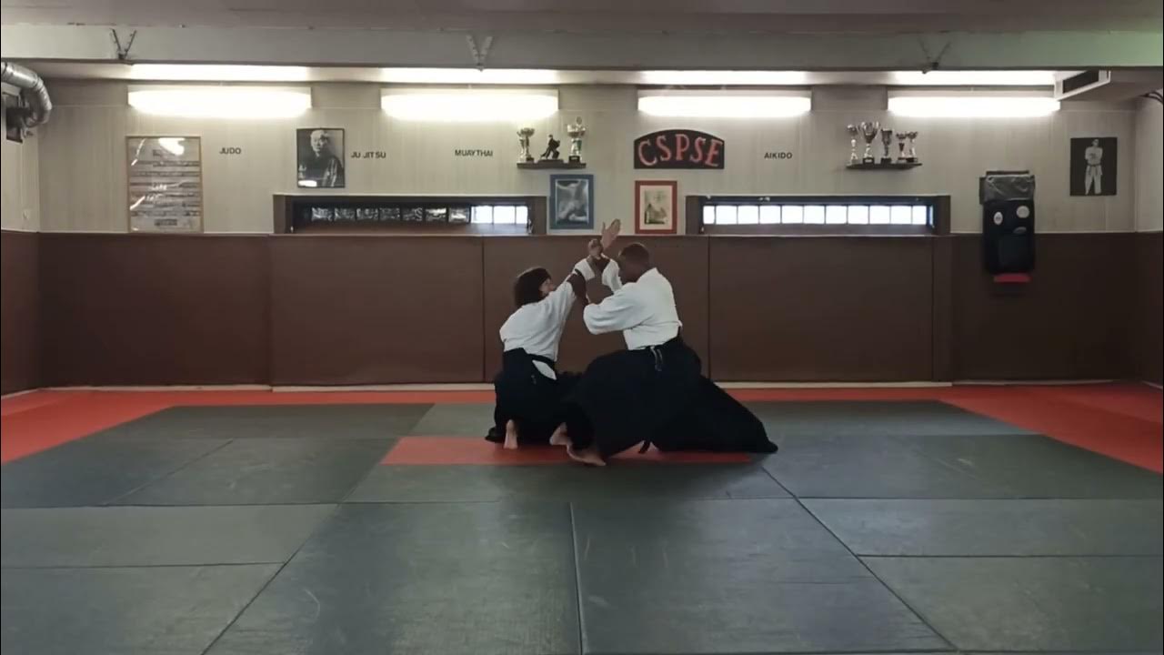 Technique Aïkido | Suwari waza - shomen uchi - yonkyo - YouTube