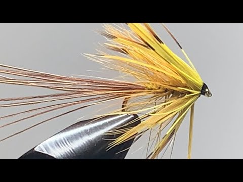 Fly tying the Golden Olive French Partridge Wet MAYFLY - YouTube