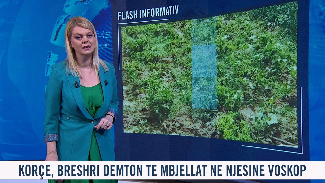 26 qershor 2024 Flash Informativ ne News24 ne studio Nisida Tufa (Ora ...
