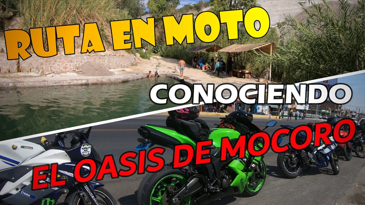 ASÍ ES EL OASIS DE MOCORO LA JOYA - AREQUIPA - luisarmi - YouTube