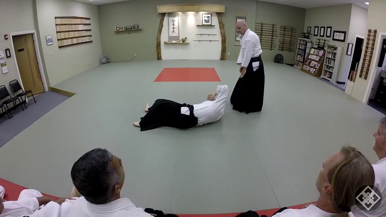 Bushikan Aikido: Techniques for a Shove-Punch attack - YouTube