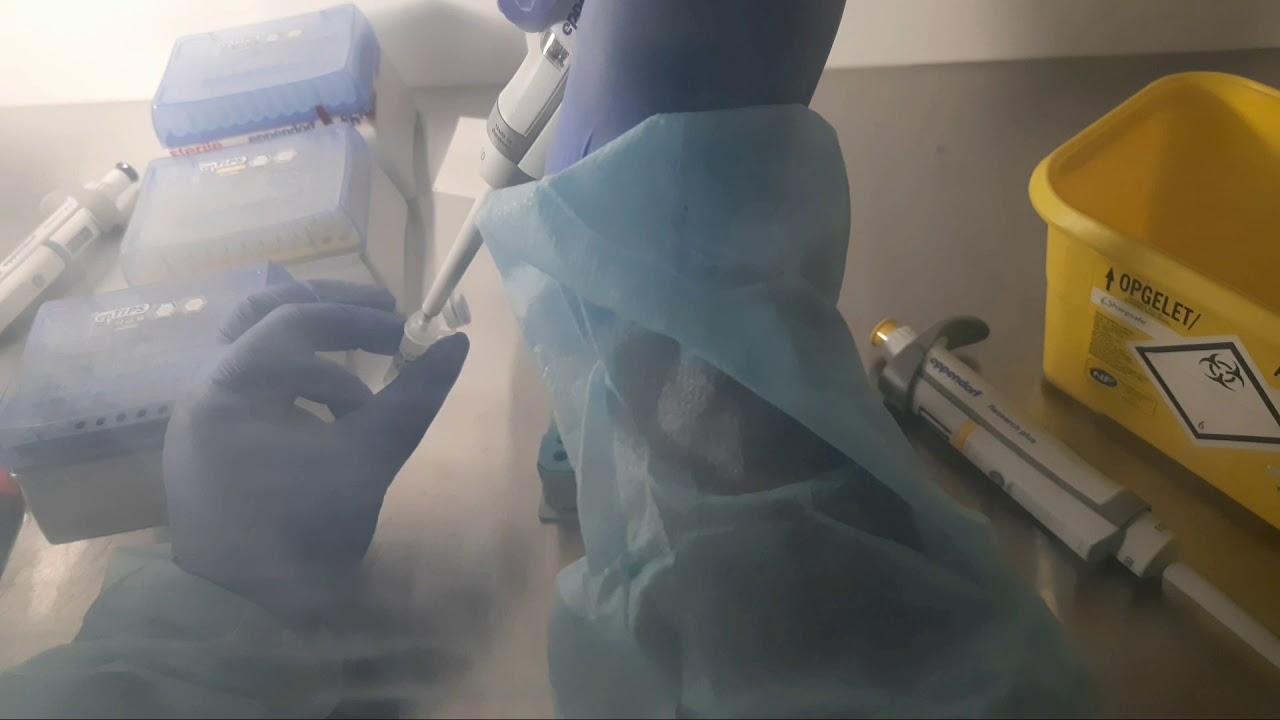 Master mix preparation of RT-PCR for SARS-CoV-2 genes detection - YouTube