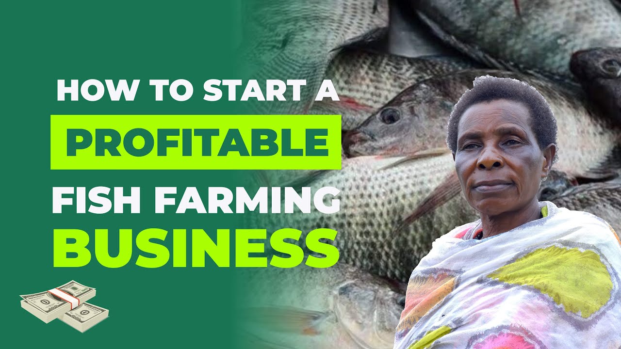 How to Start and Run a Profitable Fish Farming Business Today 2023 ...