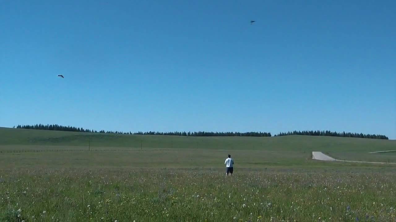 Combat Wings XE2 in the Big Horn Mountains-1/1 - YouTube