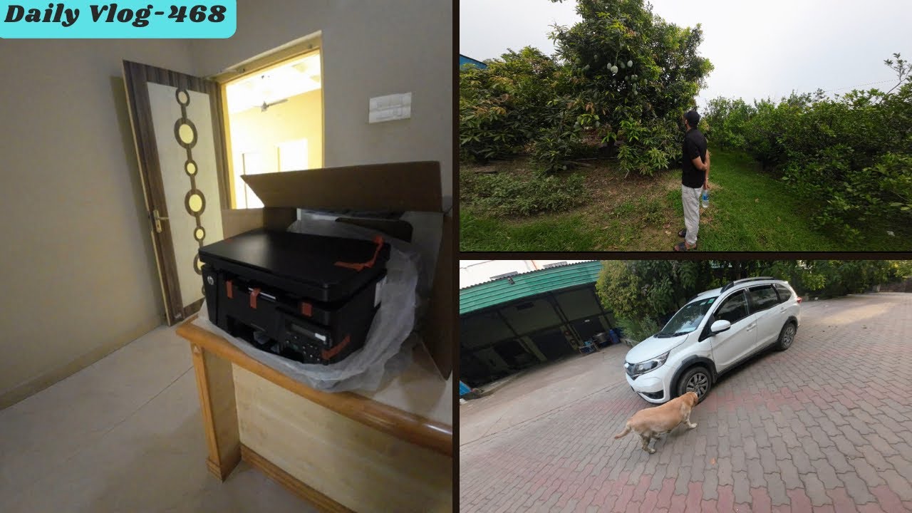 New Printer Setup/Farm pe mango 🥭/DailyVlog-468 - YouTube