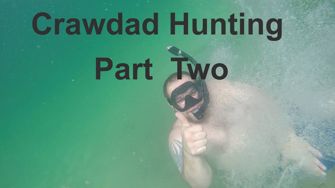 Crawdad Hunting in Crystal Lake Part 2 - YouTube