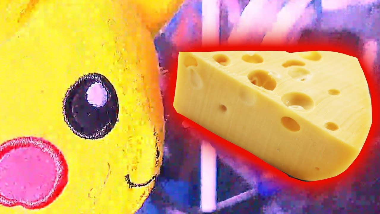 Death Cheese - YouTube