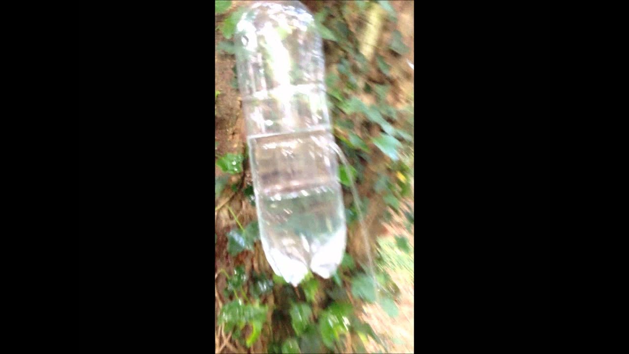 Shooting (Lynx can bomb with an air rifle) - YouTube