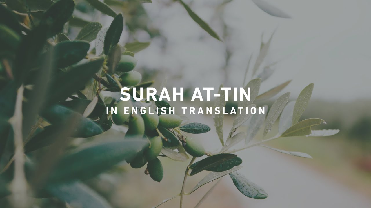Surah Tin Quran in English Audio Translation