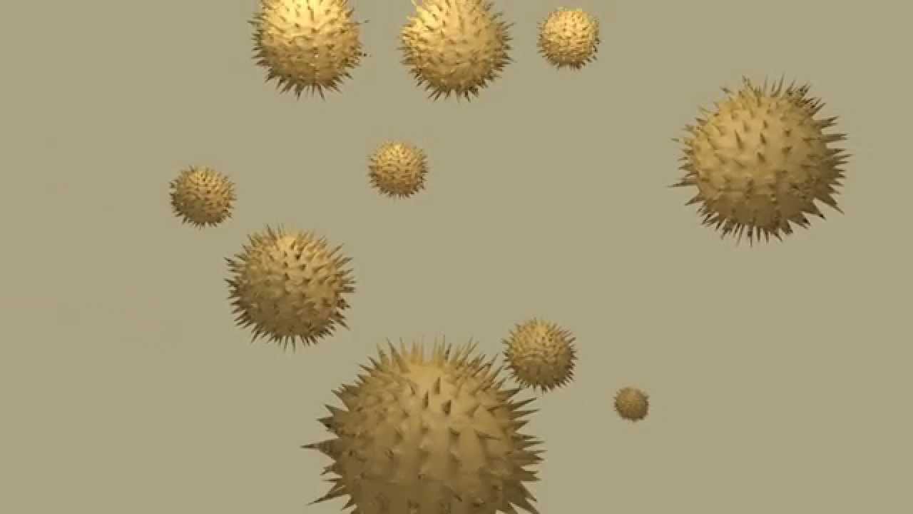 Pollen Animation - YouTube