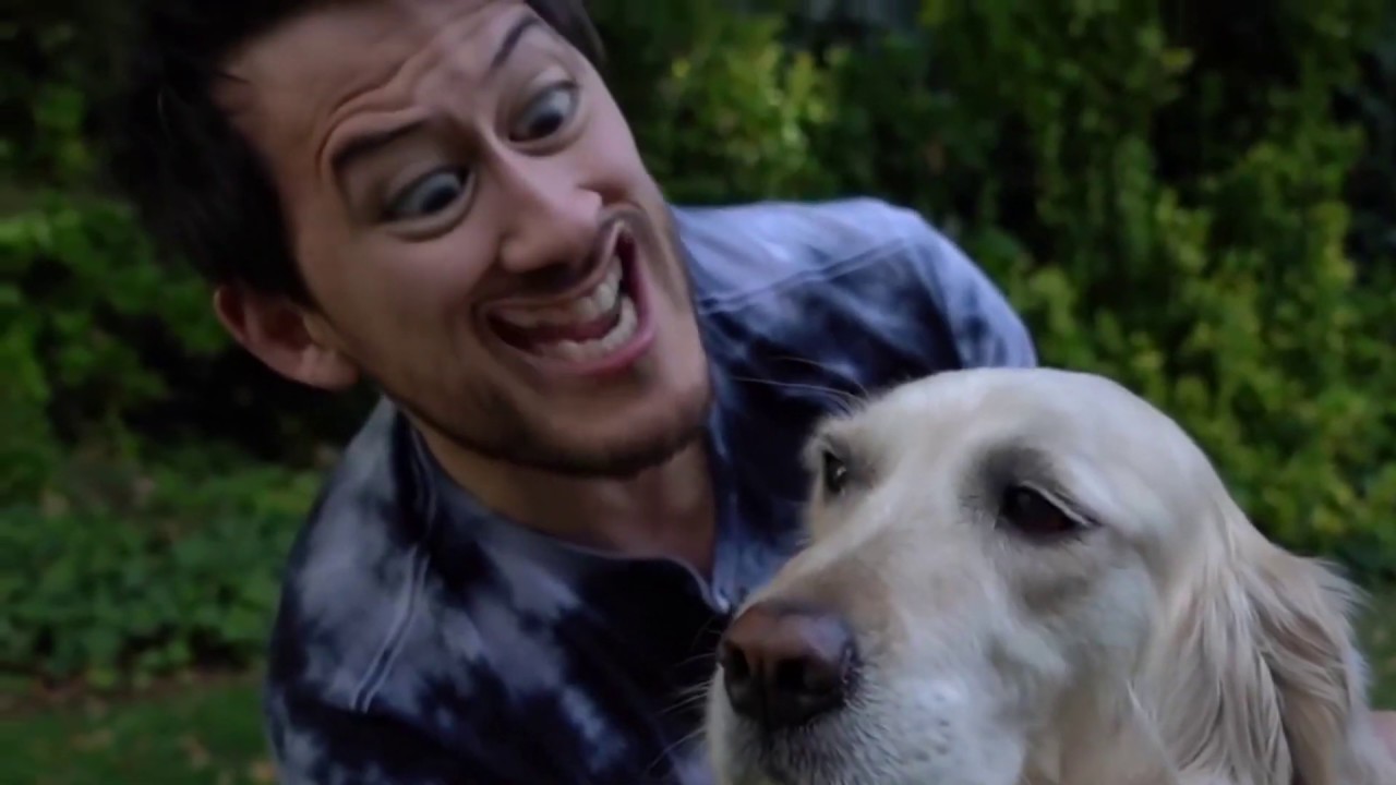 Woofus Roofus | Best Dog Moments in Unus Annus [READ DESCRIPTION] - YouTube