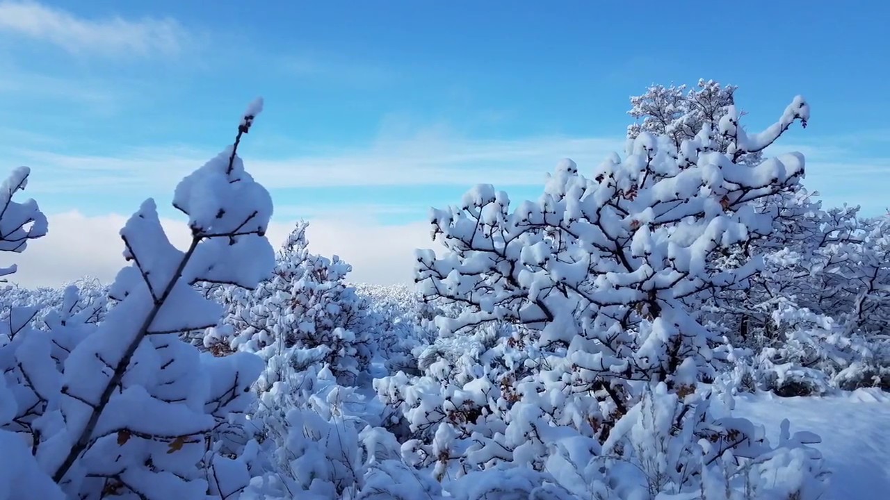 Peter Jennison: New Day (Winter Walk) - YouTube