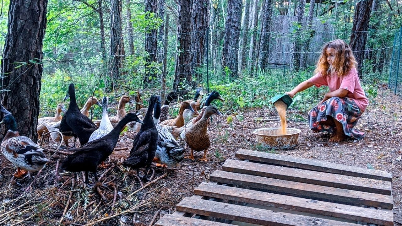 10 year old RAISES DUCKS - YouTube