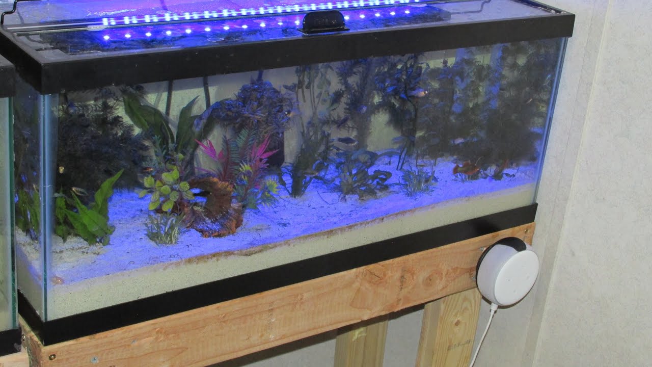 building fish tank stand for my free 20 gollan long fish tank - YouTube