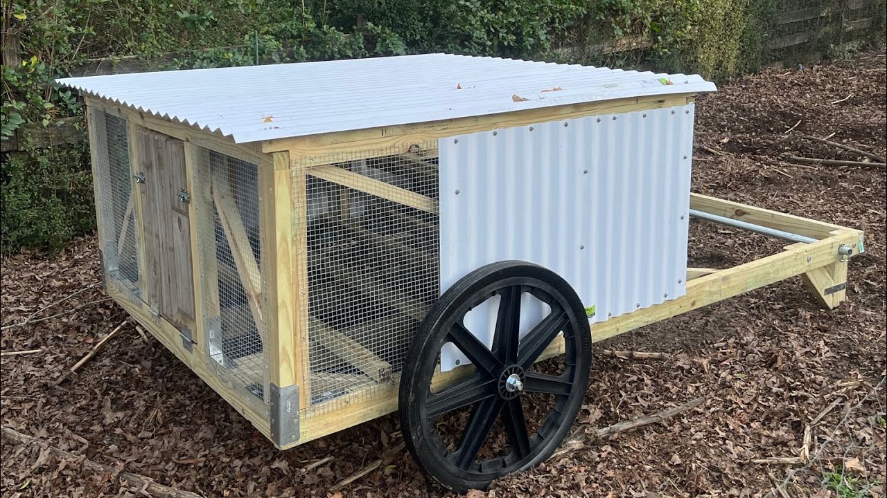 Our Backyard Chicken Setup Revealed! 🐓🐔 - YouTube