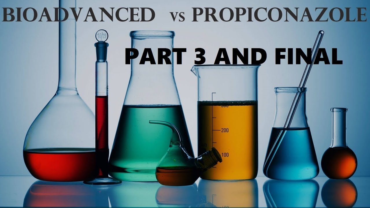 fungus experiment final - YouTube