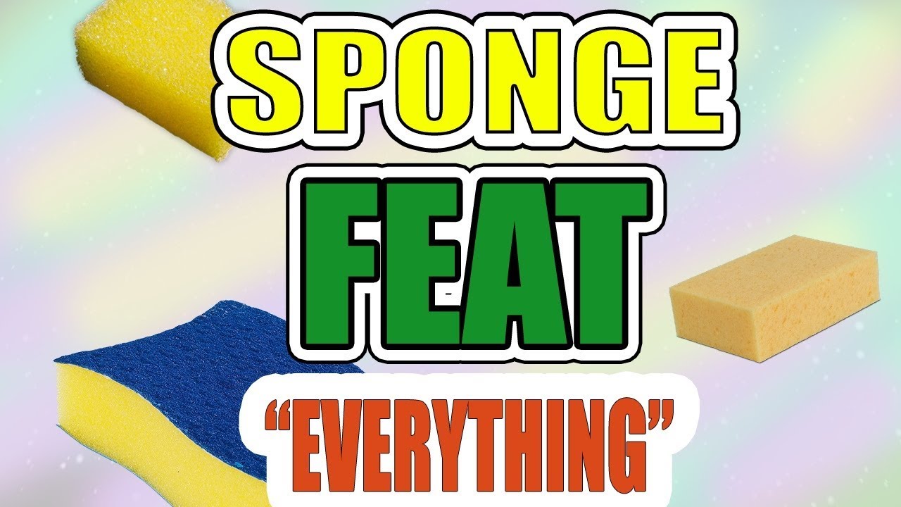 9 GENIUS SPONGE IDEAS - YouTube