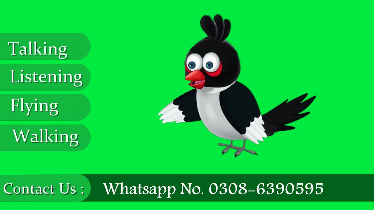 Bulbul Paid Character | Cartoon Character For Sale | Paid Bird ...