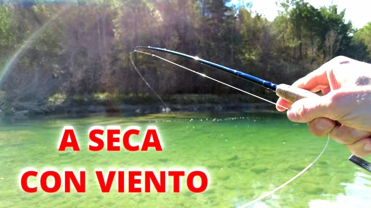 Pescando con mosca SECA un día de VIENTO - YouTube
