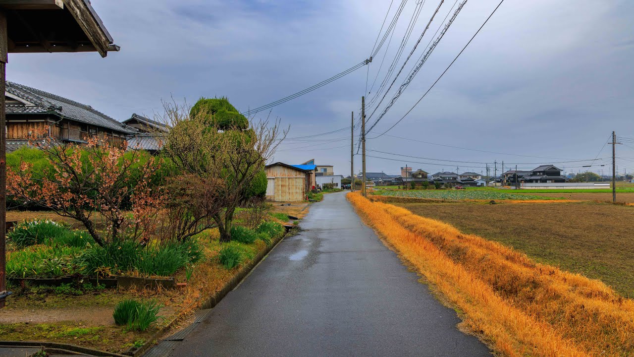 Early Spring Morning Walk in Light Drizzle | Inami, Japan - YouTube