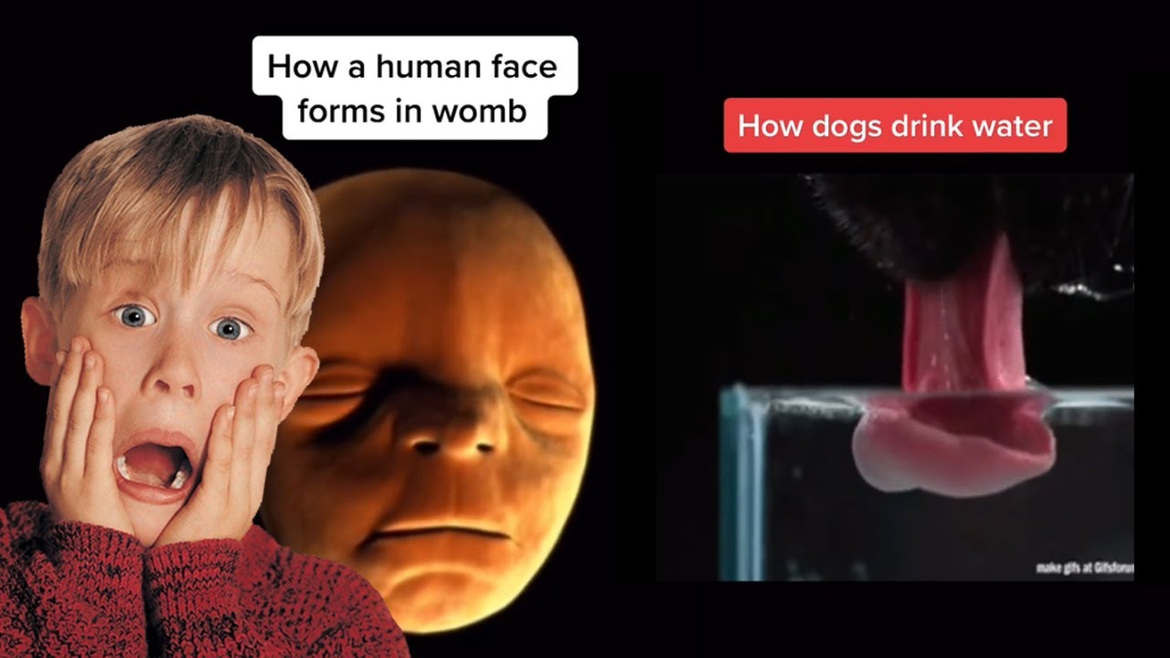 How Things Actually Works (Part 1) - YouTube