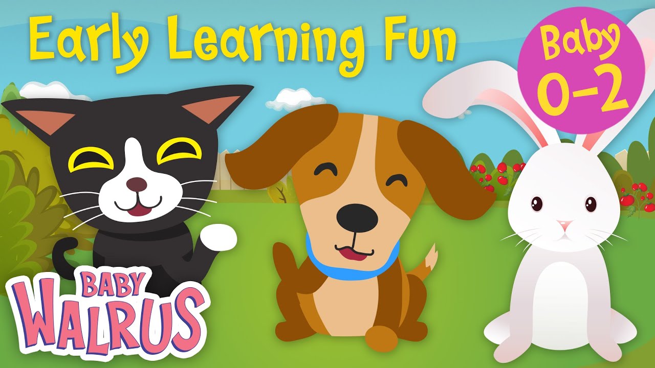 Early Learning Fun #6 | Pet Animals 🐶 🐰🐹 Counting & Colors ...
