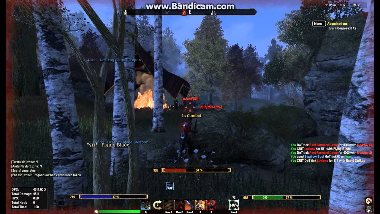 ESO PvP - Brawler Blade - YouTube