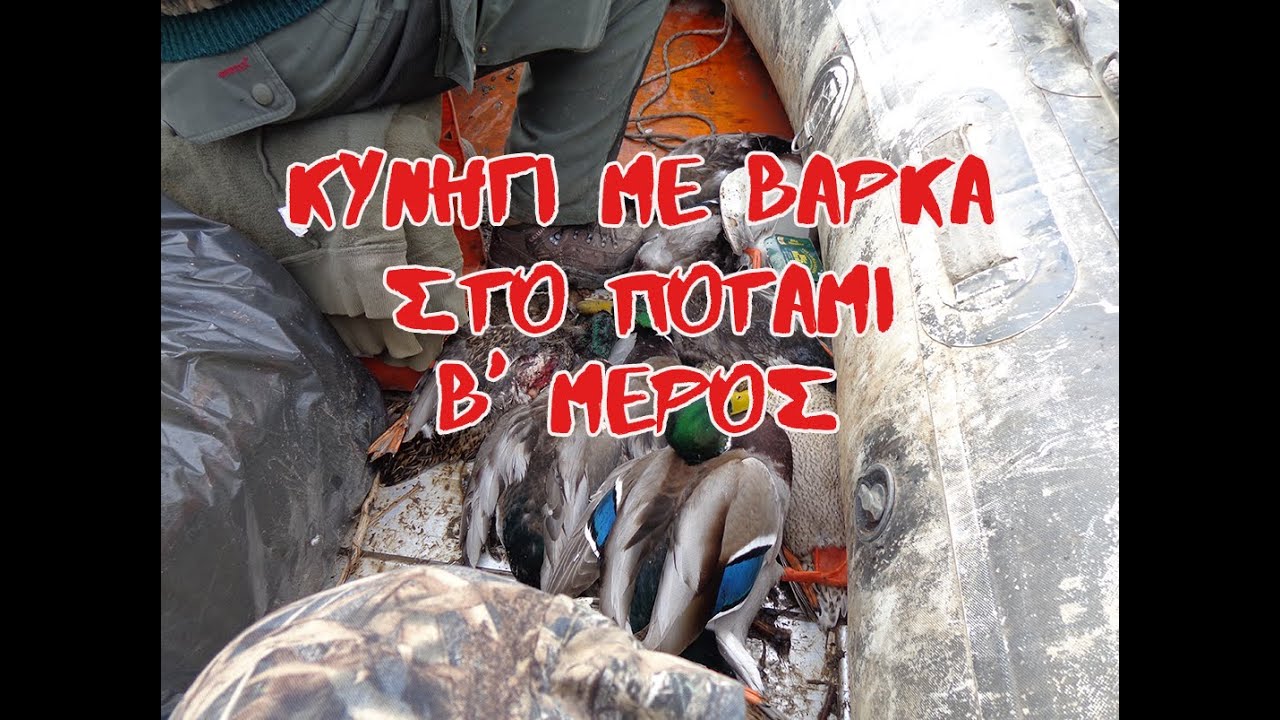 ΚΥΝΗΓΙ ΜΕ ΒΑΡΚΑ ΣΤΟ ΠΟΤΑΜΙ Β' ΜΕΡΟΣ - YouTube