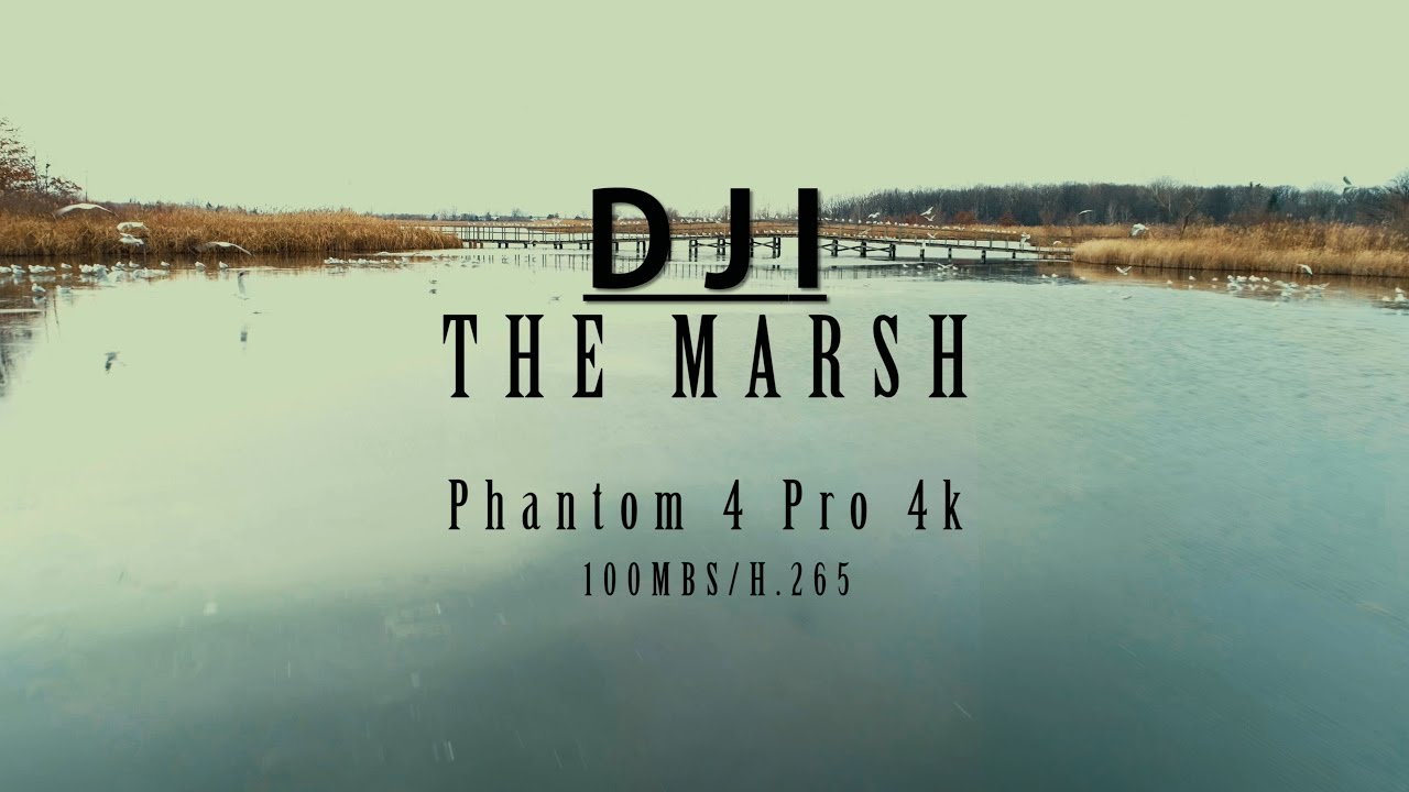 The Marsh 4K - DJI Phantom 4 Pro Footage(100mbs/h.265) - YouTube