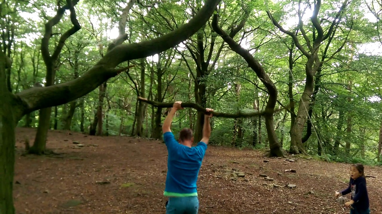 Branch cracking - YouTube