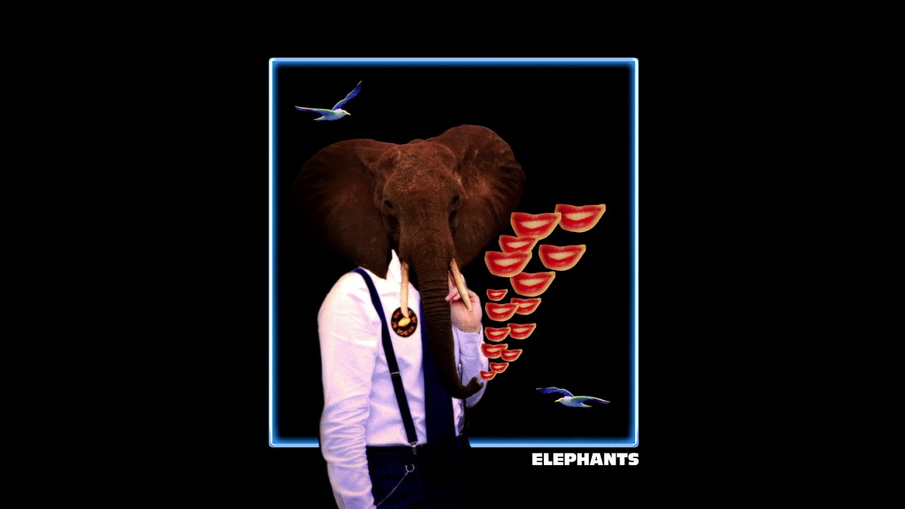 ASL - Elephants (Official Audio) - YouTube
