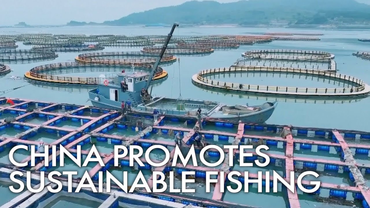 China's Fujian Province dives into sustainable, high-tech fishing - YouTube