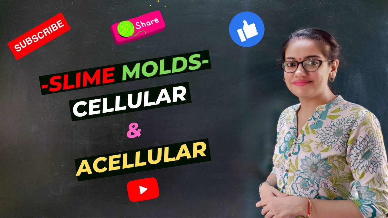 LECTURE 43:BIOLOGY CLASS XI-BIOLOGICAL CLASSIFICATION- PROTISTA- SLIME ...