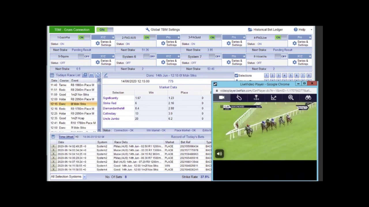 Horse Race Predictor Update - 67% return in 6 days - YouTube